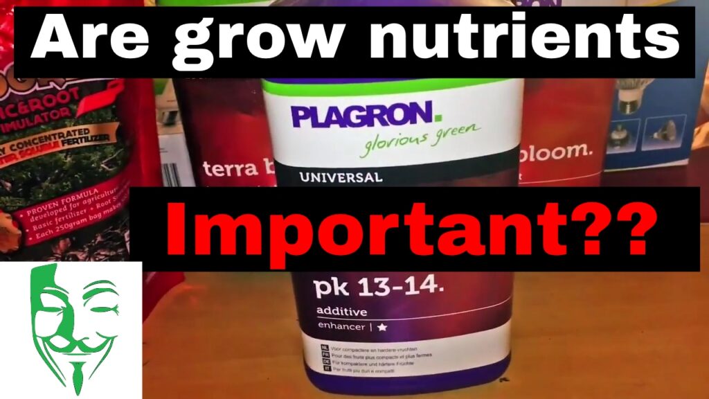 Are cannabis grow nutrients important? Autoflower and non Autoflower ...